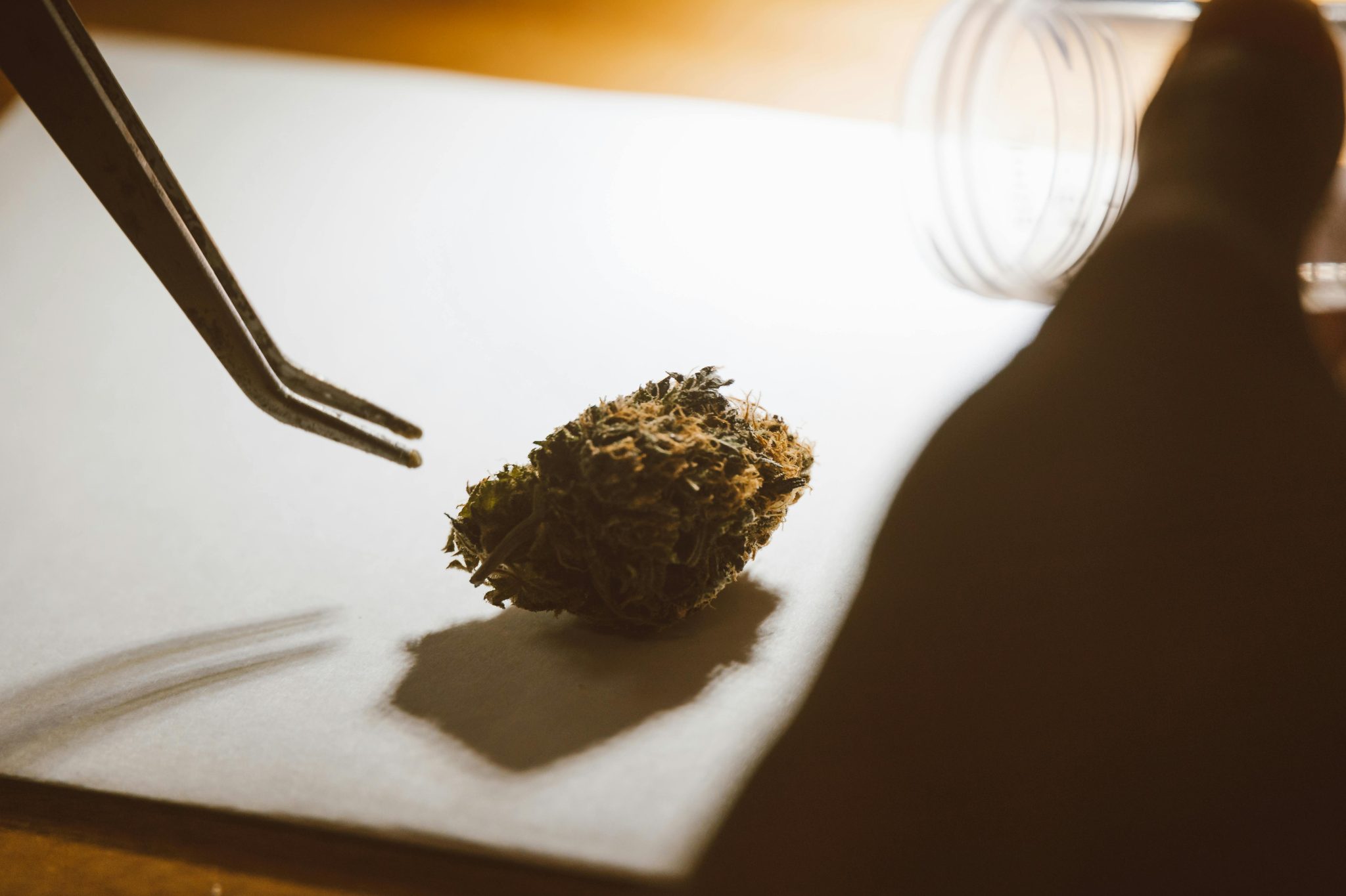 Dispensary Weed vs Street Weed: What's the Difference? | GOLDLEAF